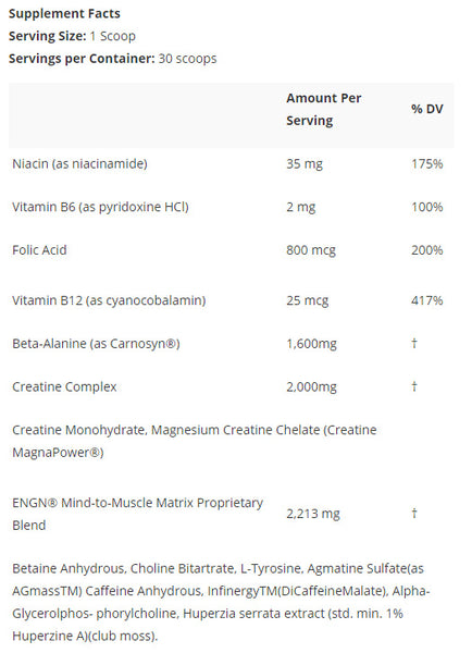 ENGN by Evlution Nutrition – Supplement Warehouse