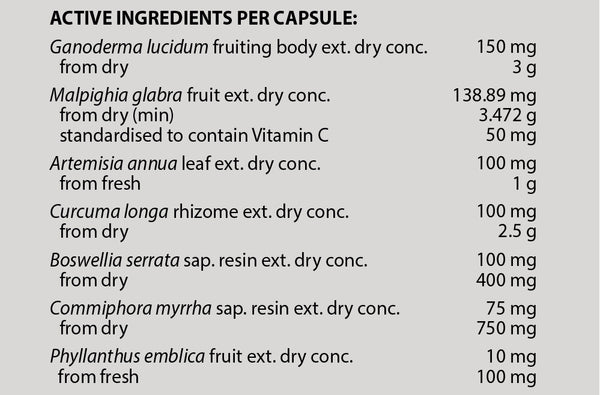 Immune RX by ATP Science – Supplement Warehouse